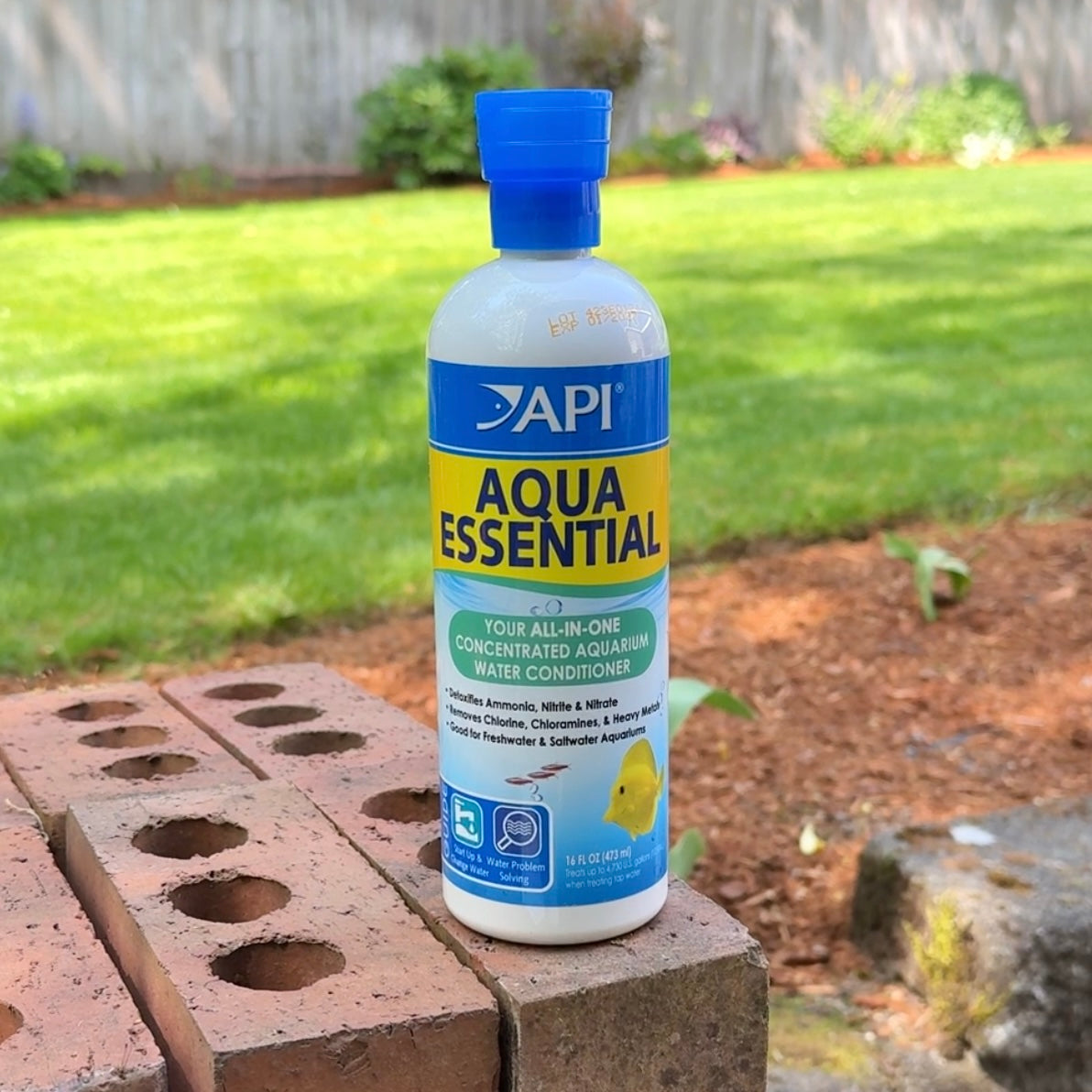 API Aqua Essential – Fish4Ever Aquatics