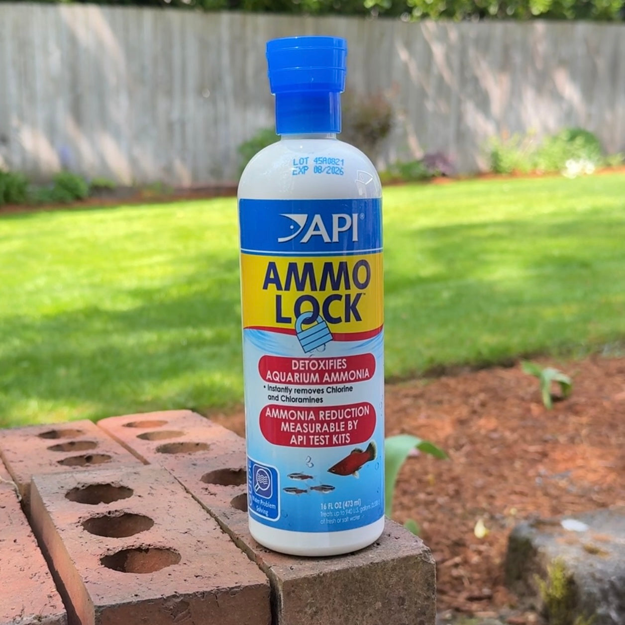 API Ammo Lock – Fish4Ever Aquatics