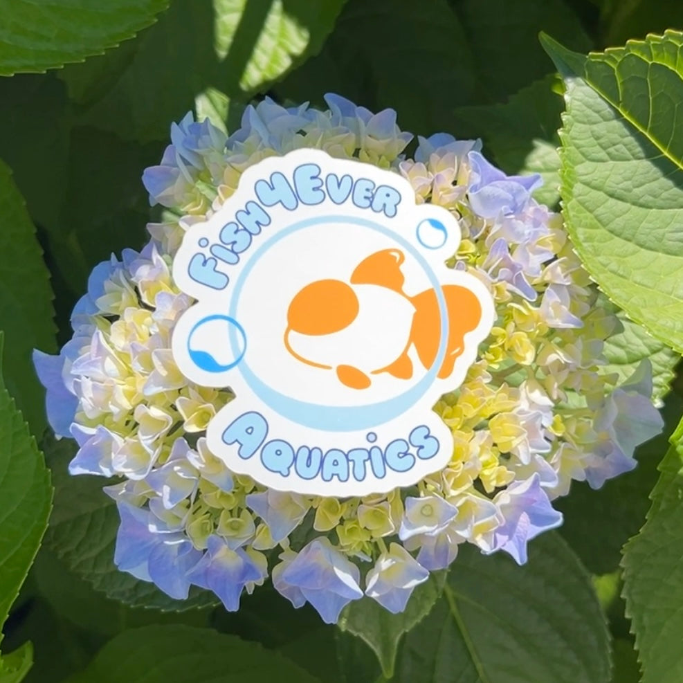 Fish4Ever Aquatics Sticker