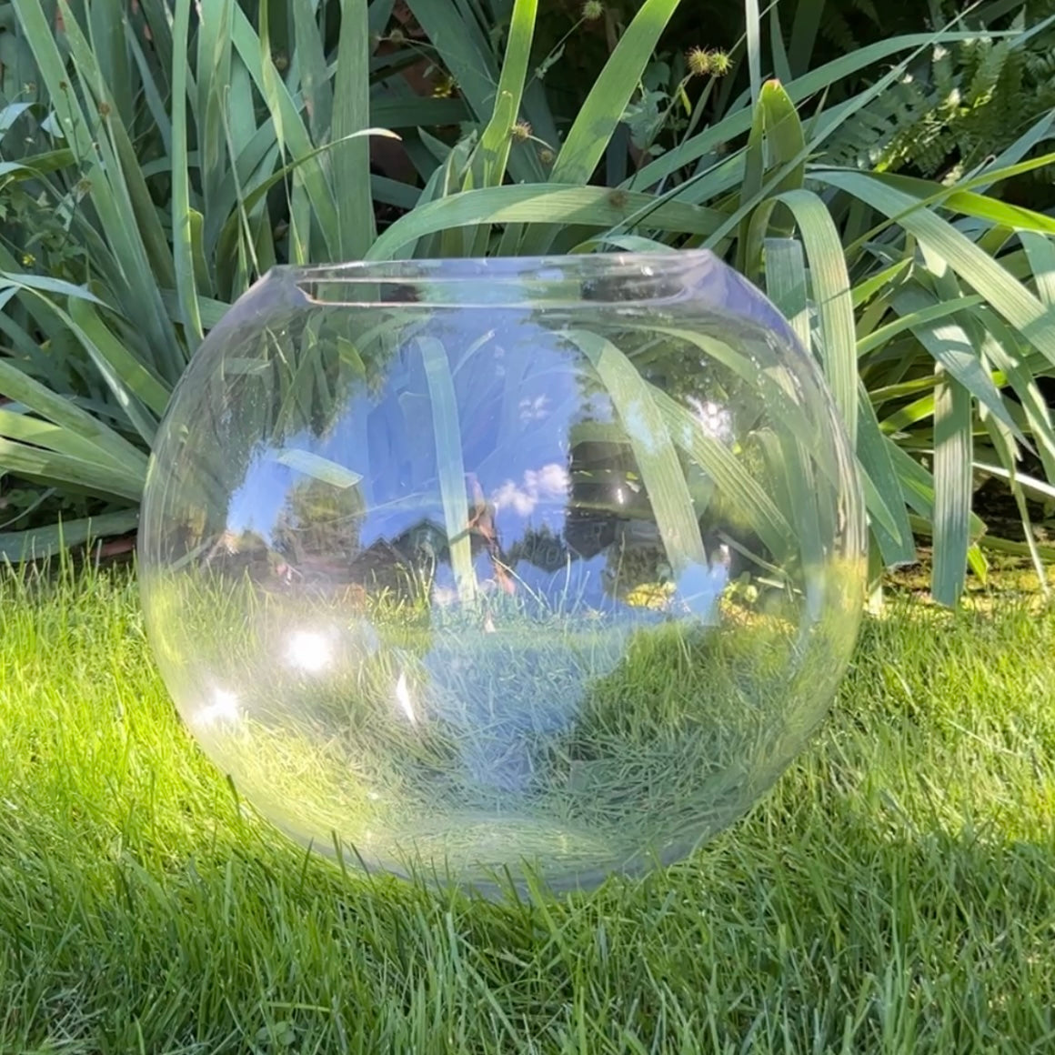 5 Gallon Glass Fish Bowl – Fish4Ever Aquatics